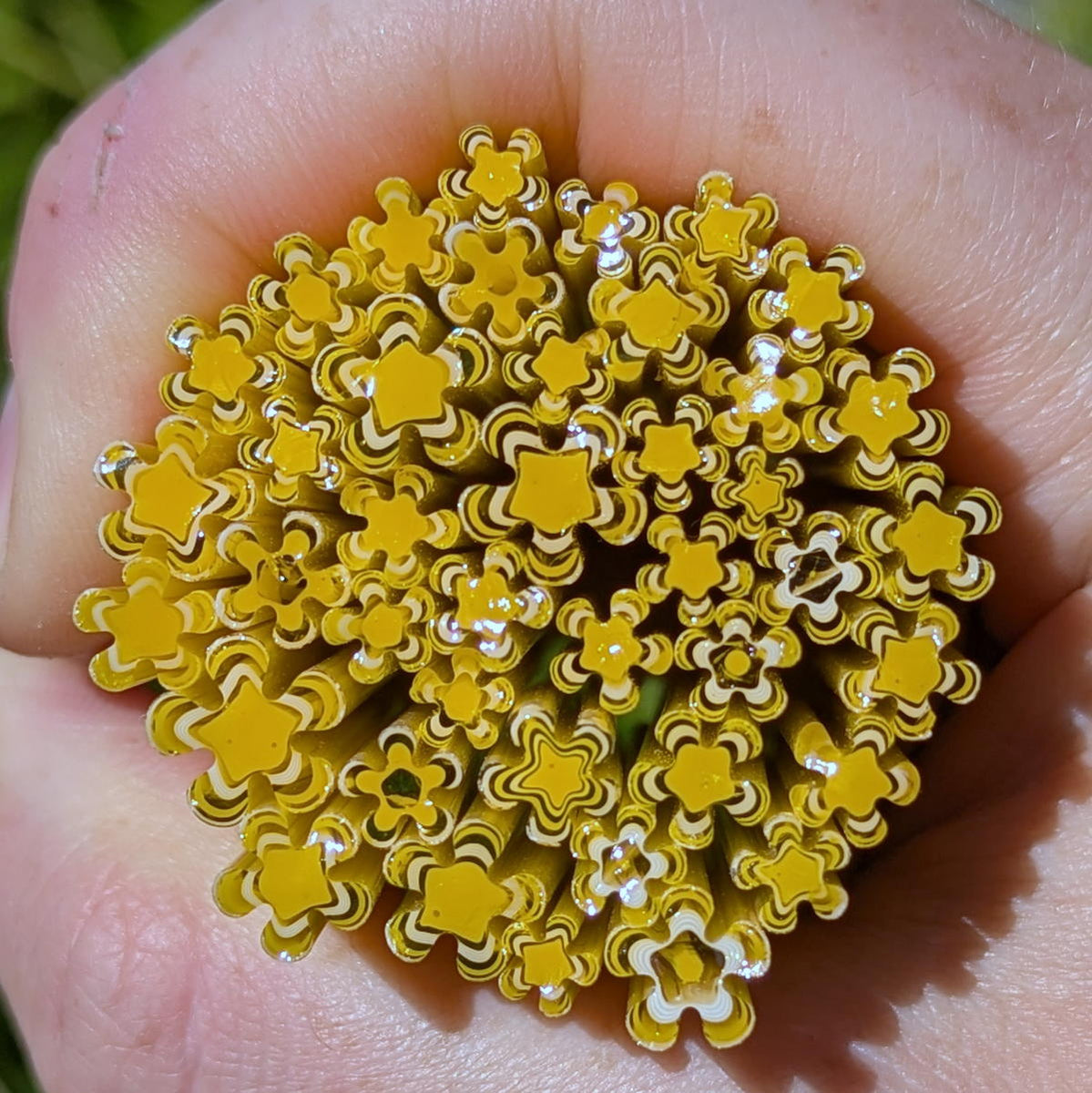 French Vanilla and Marigold Flowers Murrine Sticks COE 90 Fusible Glas ...