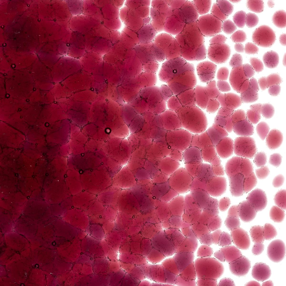 Cranberry Pink Transparent - Gold Bearing Striker - Glass Frit Coarse ...